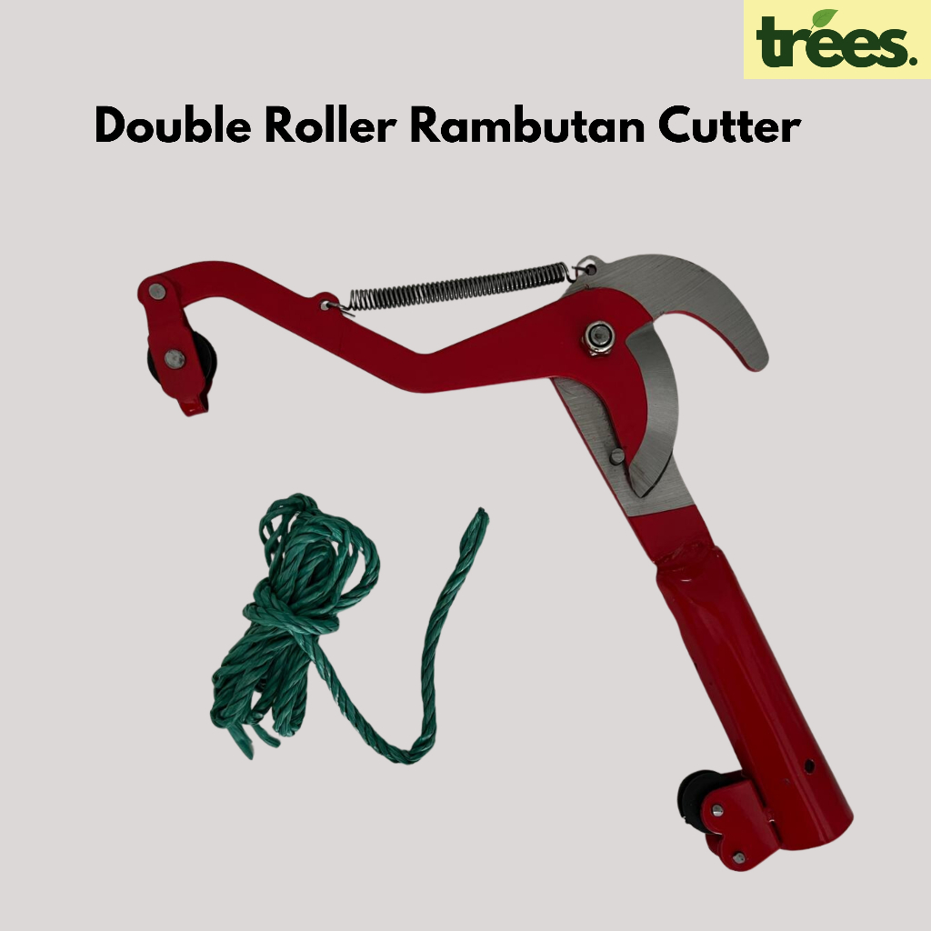 Rambutan cutter store