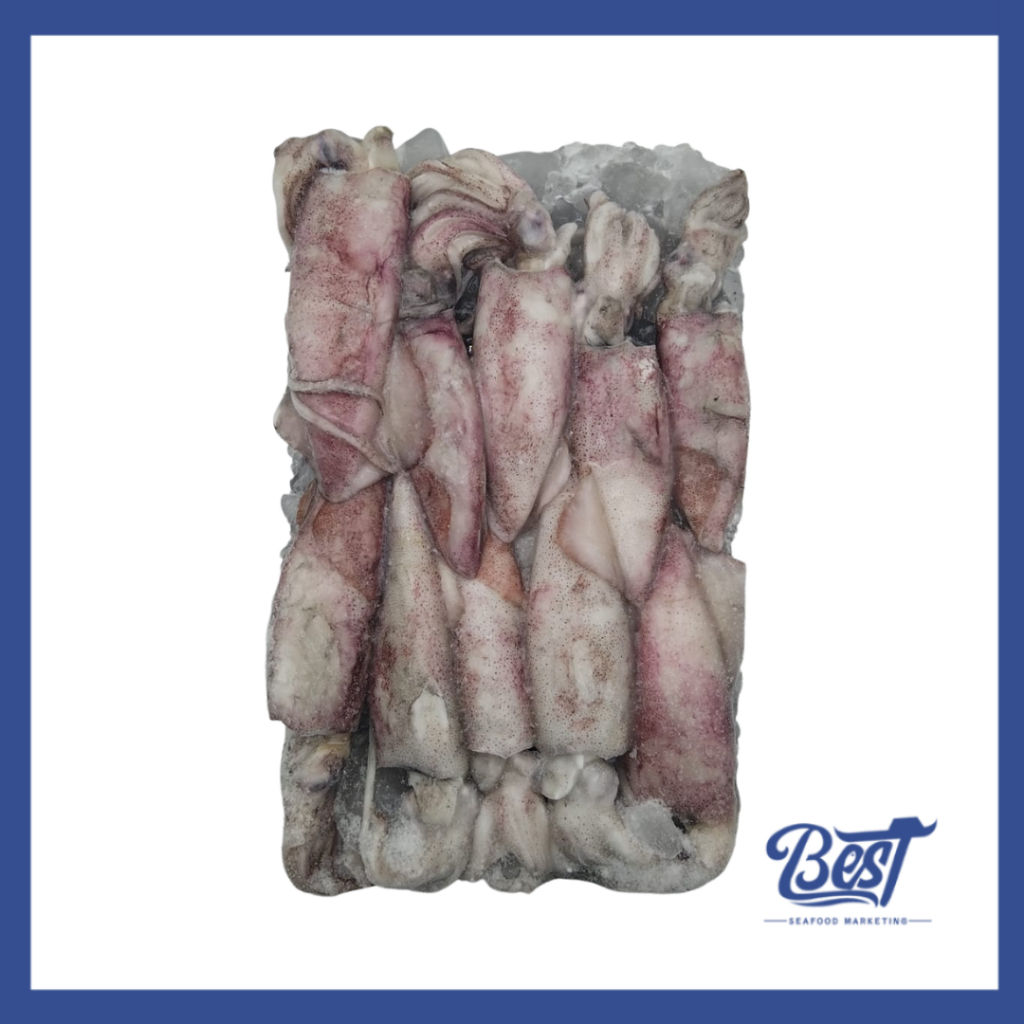 [WHOLESALE] Squid Whole 1kg 苏东 (Size 10-12) | Shopee Malaysia