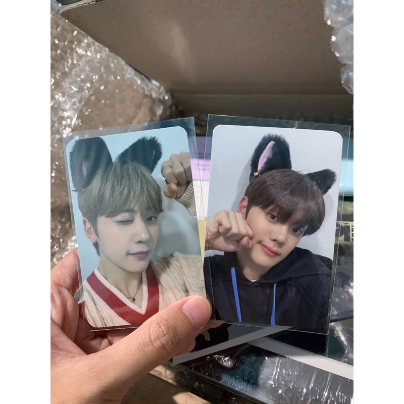 Zerobaseone ZB1 Makestar Cat Ear Pob Matthew Gyuvin | Shopee Malaysia
