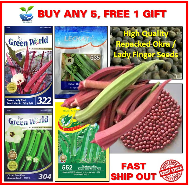 Biji benih BENDI HIJAU / MERAH - BUAH LEBAT - high quality repacked ...