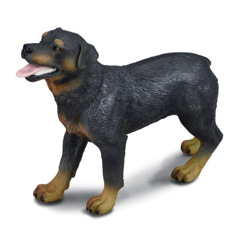 Rottweiler - Collecta 88189 Dog Pet Action Figures / Toys Figurine ...