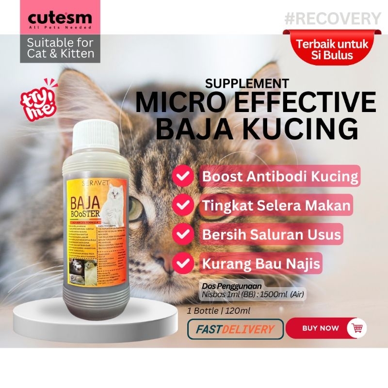 Cat & Kitten 𝐏𝐑𝐎𝐁𝐈𝐎𝐓𝐈𝐊 𝐊𝐔𝐂𝐈𝐍𝐆 Merawat Usus & Sistem Perut .Aktif ...