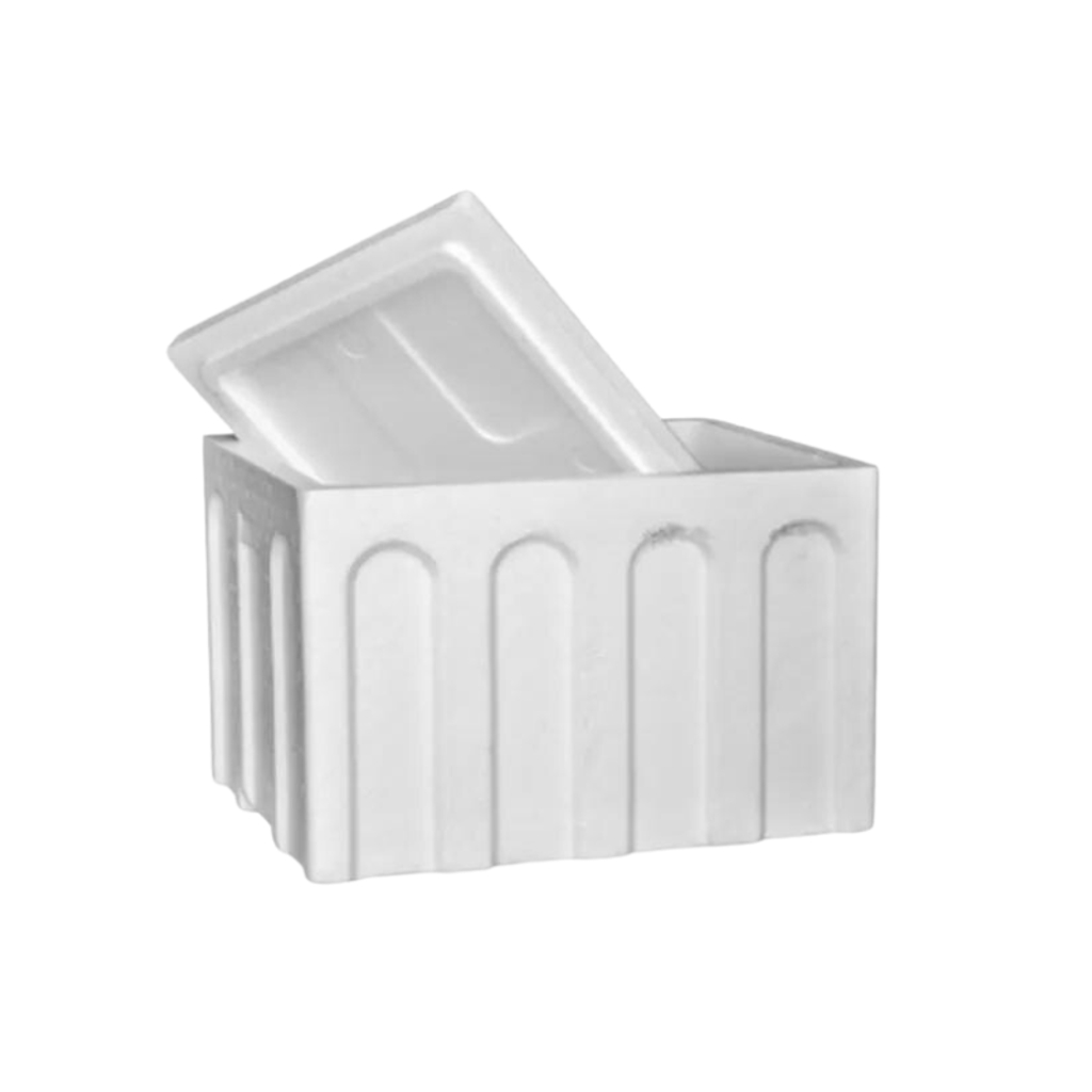 Polyfoam Box/Styrofoam Ice Box/FIsh Box/ - Prices and Promotions ...