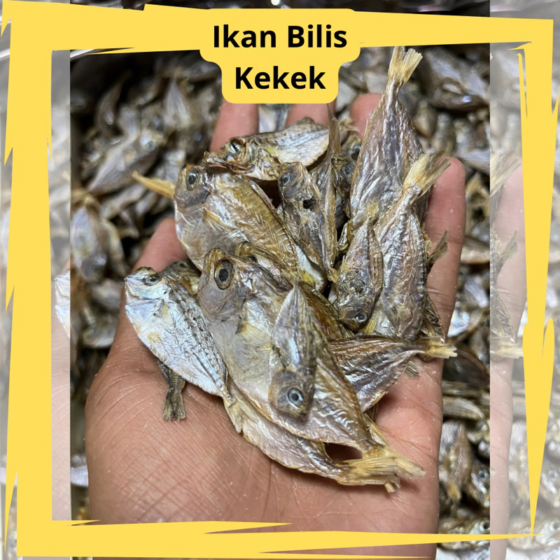 IKAN BILIS MATA BIRU NO1. SABAH (PELBAGAI BILIS) | Shopee Malaysia