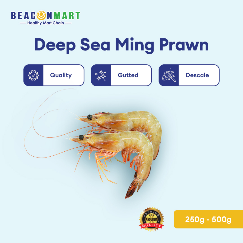 [Beacon Mart] Seafood Deep Sea Ming Prawn | Sabah Wild Caught | Gutted | Udang Ming | 沙巴新鲜海鲜-明虾 ...