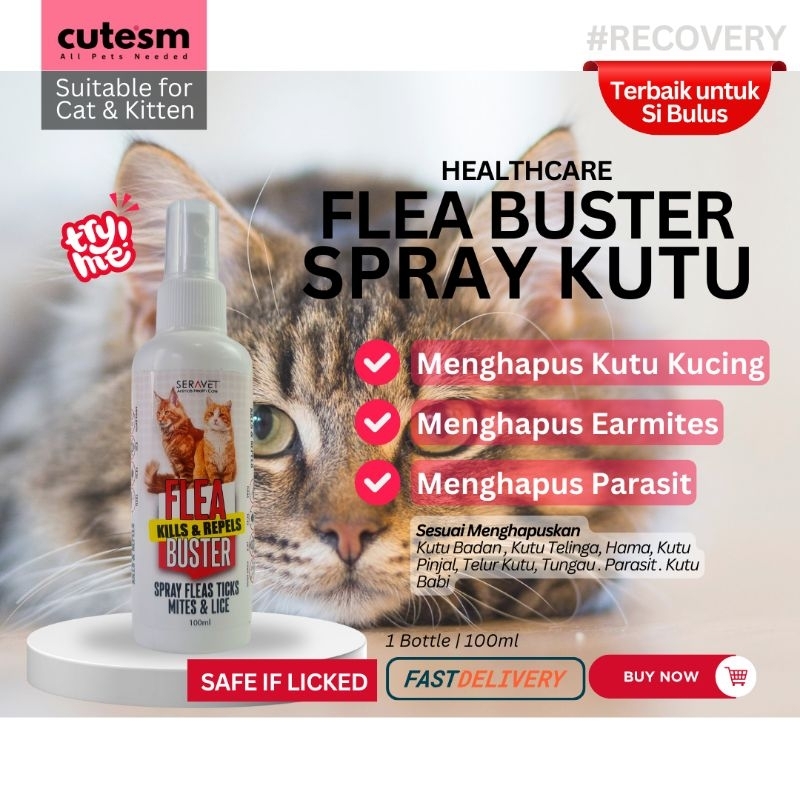 Cat & Kitten 𝐒𝐏𝐑𝐀𝐘 𝐊𝐔𝐓𝐔 𝐊𝐔𝐂𝐈𝐍𝐆 Kutu Badan, Earmites, Telur Kutu, Hama ...