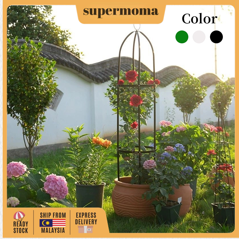 Rose Flower Stand Gardening Climbing Vine Flower Stand Plant Clematis ...