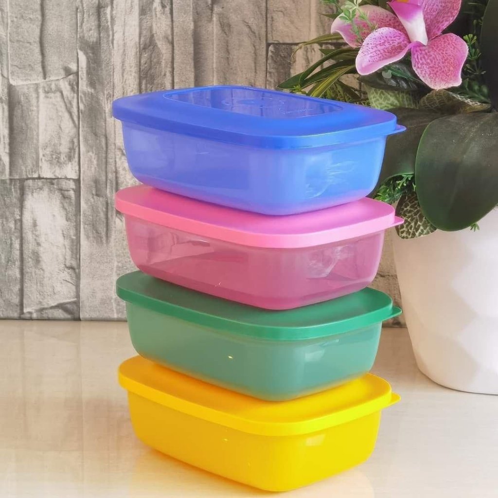 10 warna: Tupperware 500ml Small Rectangular Saver Lunch Box for Kid ...