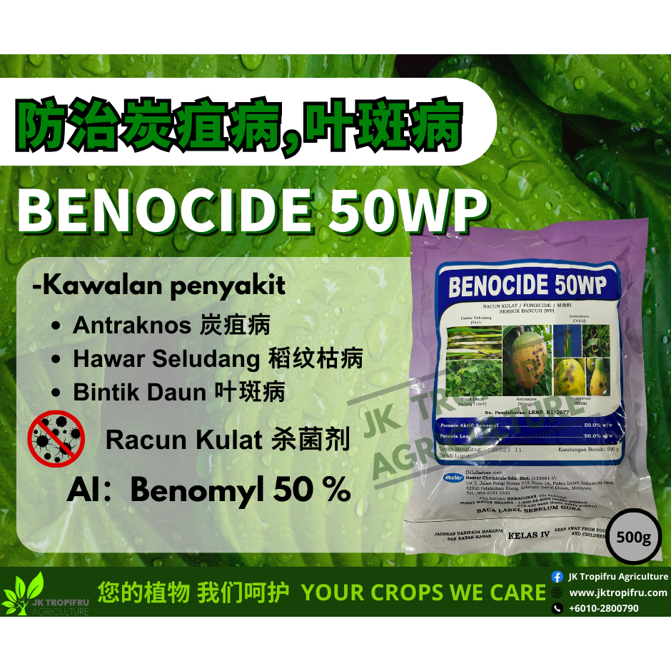 Benocide 50WP(500g) (Benomyl) Antraknos,Hawar Seludang,Bintik Daun 炭疽病 ...