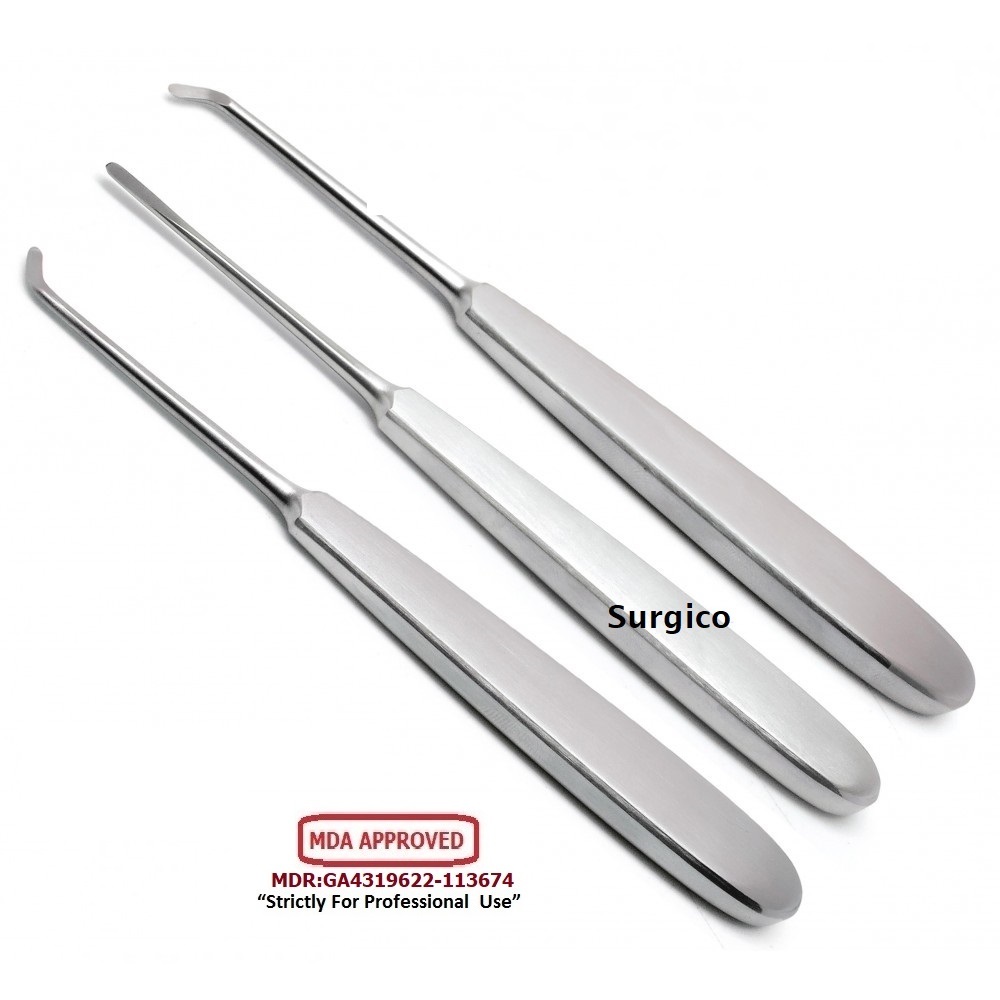 Warwick James Elevators Right, Left and Straight Extraction Stainless ...