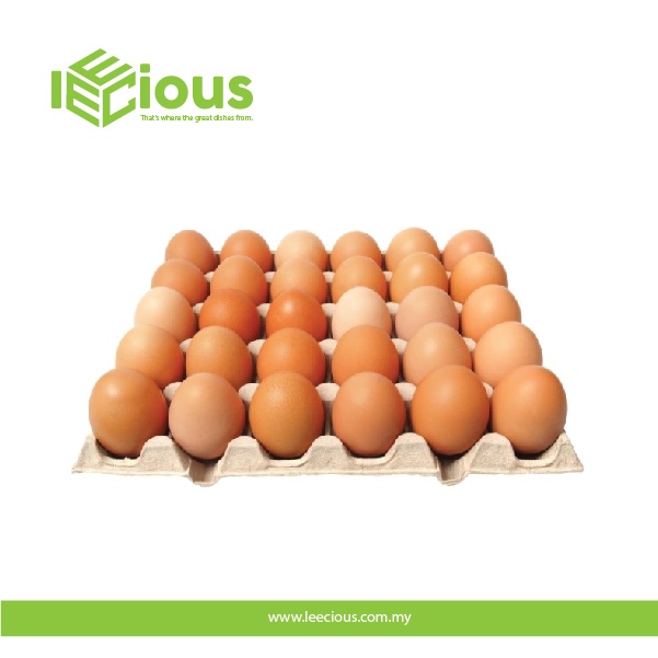 Leecious Healthy Egg Telur large size (30nos) [For KL/Selangor city ...