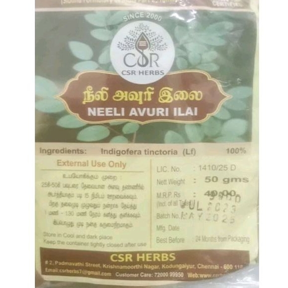 Neeli Avuri Ilai / Indigo Fera Tinctoria / Neela Pattee / அவுரி இலை ...