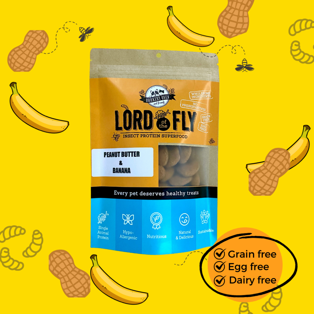 Barkery Oven Lord of The Fly - Peanut Butter & Banana Biscuit | Insect ...
