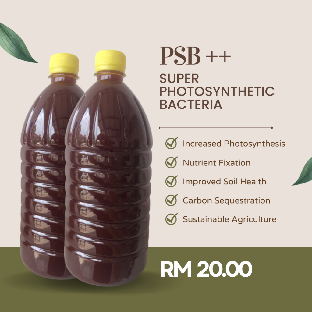 PSB++ Super Photosynthetic Bacteria 1000ml x2 光合菌 | Shopee Malaysia