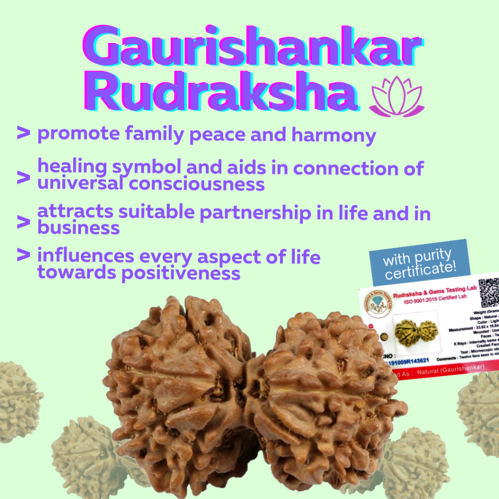 Original Gauri Shankar Rudraksha ( Gauri Shankar Faces ) Rudraksha Bead ...