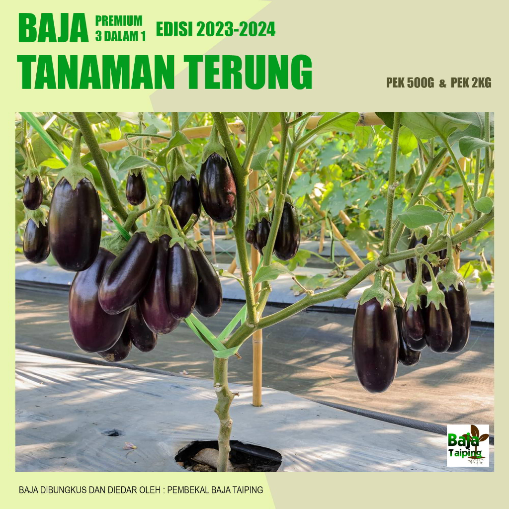 Baja Khas Untuk Tanaman Pokok Terung | Shopee Malaysia