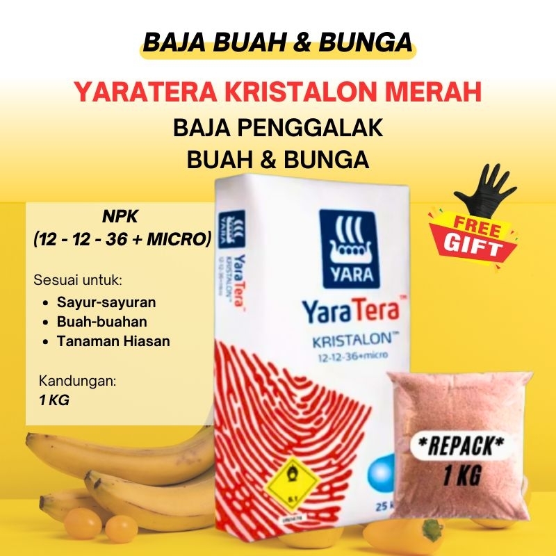 Baja Buah Baja Bunga Yaratera Kristalon Baja Yara Merah NPK 12 12 36 ...