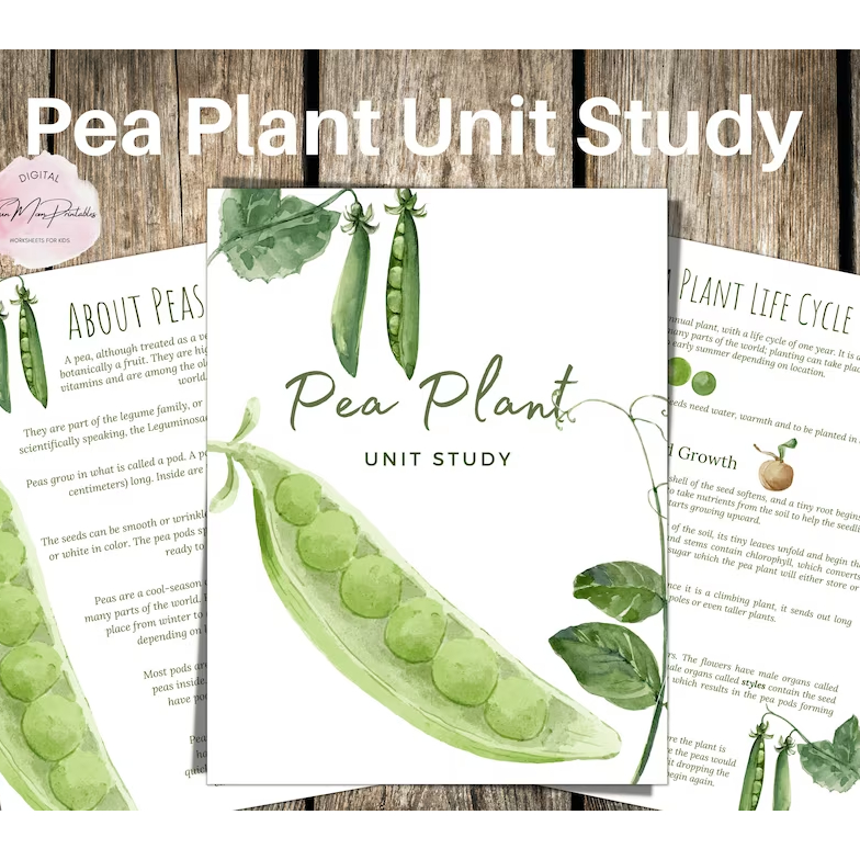 PDF] Pea Plant Unit Study 57 pgs Preschool Busy Quiet Book Kids ...