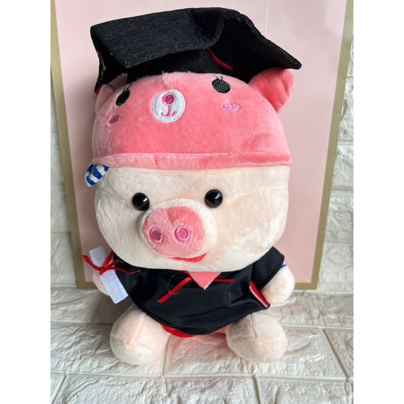 35cm graduation piglet/Cute Graduation / Convocation Bear Plush / Teddy ...