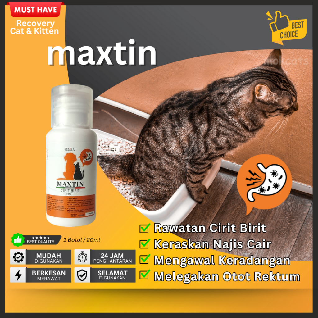 𝗠𝗔𝗫𝗧𝗜𝗡 𝗖𝗔𝗧 𝗗𝗜𝗔𝗥𝗥𝗛𝗘𝗔 𝗥𝗘𝗖𝗢𝗩𝗘𝗥𝗬 Merawat Cirit Birit + Berak Cair + Sakit ...