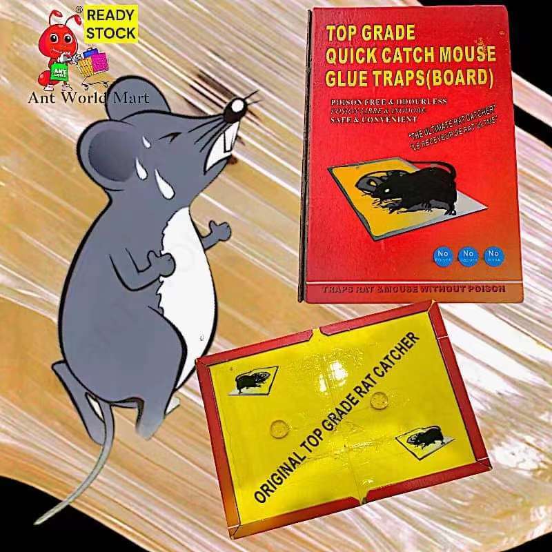 Quick Catch Mouse Trap Mouse Catcher Tap Mouse Rat Sticky Glue Trap ...