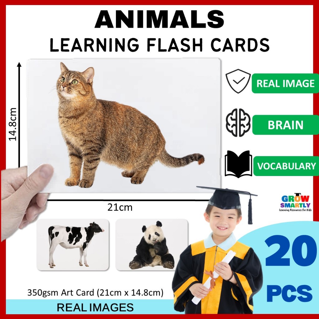 Animal Flash Card for Kid Animals flash cards Educational Big flash ...