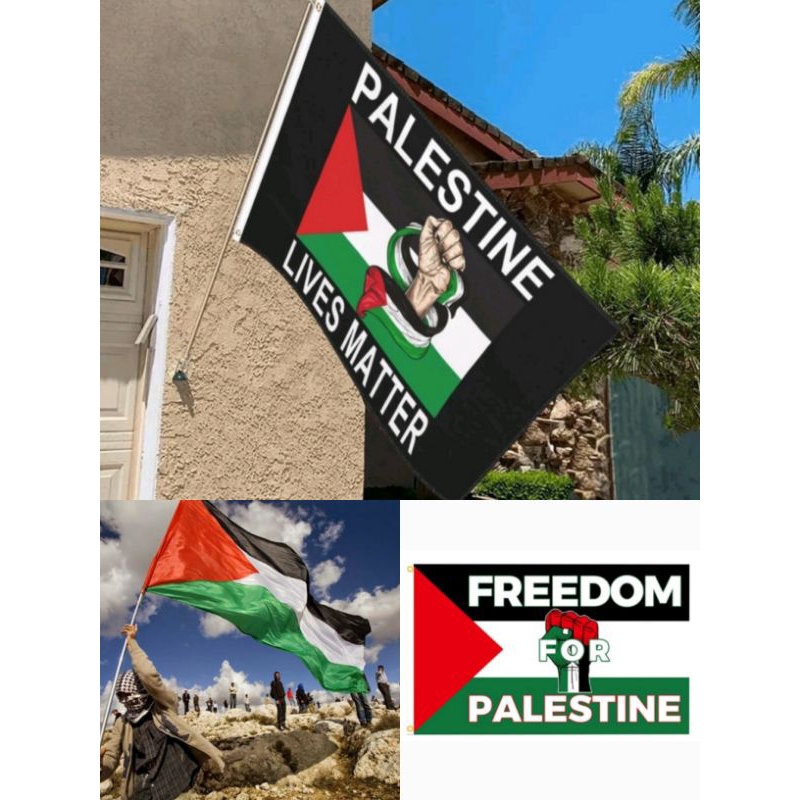 Palestine Flag Solidarity Freedom Of Palestine bendera | Shopee Malaysia