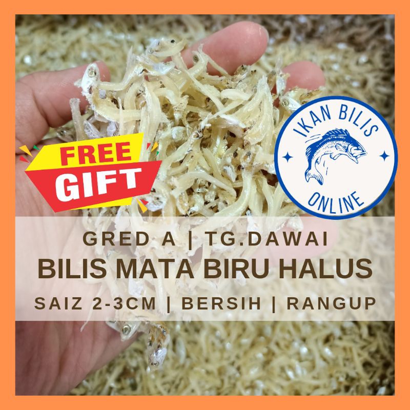 Ikan Bilis Mata Biru Tanjung Dawai Muslim Halus Rangup Murah | Shopee ...