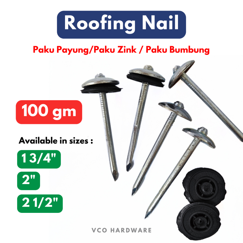 [100 gm] Galvanized Iron (GI) Roofing Nail/Umbrella Nail/Paku Payung ...