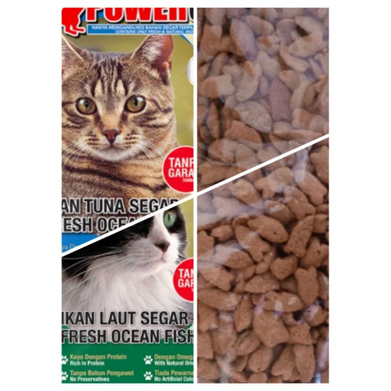 ( REPACK ) Power Cat Premium 1KG - Cat Food / Dry Food | Shopee Malaysia