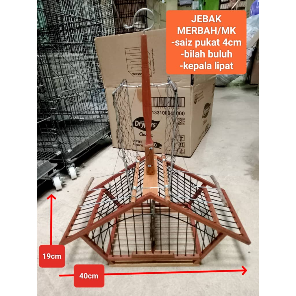 (JEBAK RUMAH)Jebak burung/jebak lekir/jebak murai kampung/jebak merbah ...