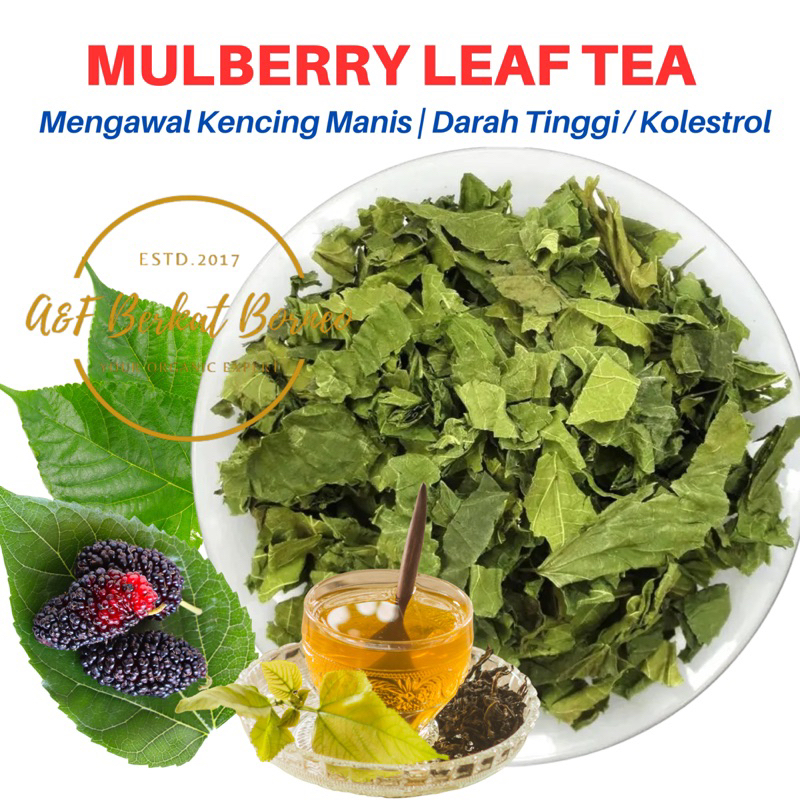 ORGANIC MULBERRY LEAF TEA | Penawar 3 Serangkai | Muslim Seller 💯 ...