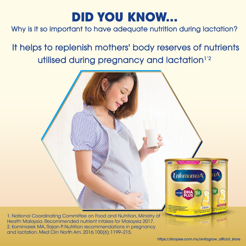 Enfamama A+ - Chocolate Maternal & Lactating Susu Milk Formula Powder ...