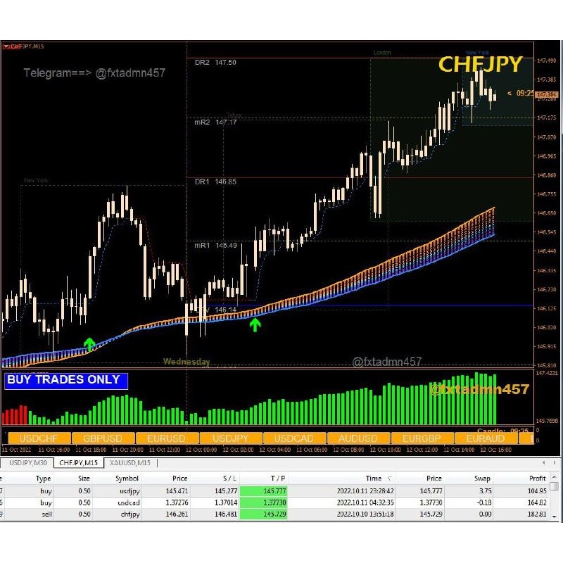 Forex Indicator High Winning Rates! (EASY TO UNDERSTAND) | Shopee Malaysia