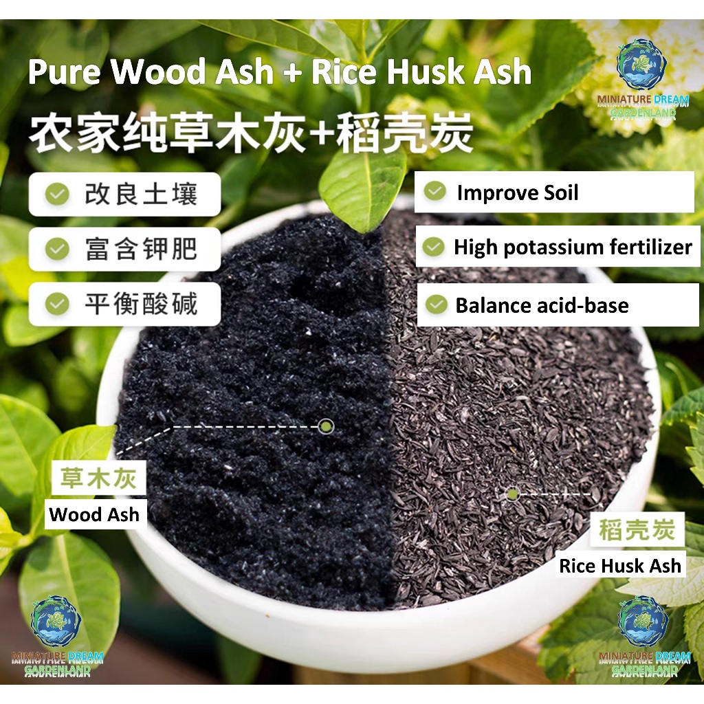【Ready Stock\现货】Pure Rice Husk Ash/Wood Ash/Sekam Padi Bakar/Abu Kayu 纯 ...