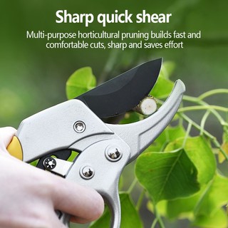🔥HOT🔥Sk5 Pruning Shears Gardening Tools Tree Cutter Plant Scissor ...