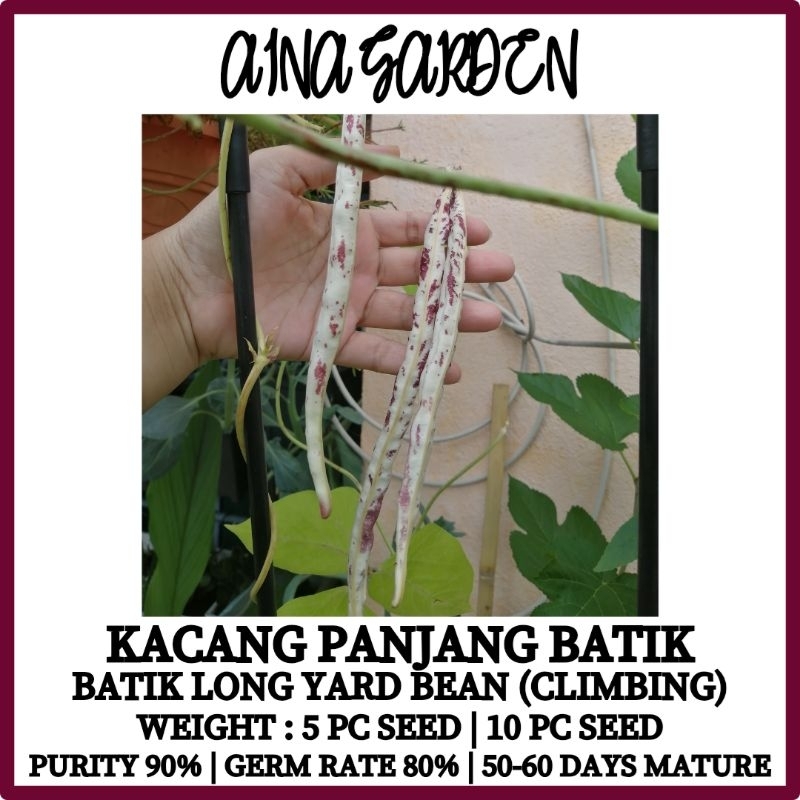 HSK [10pc] KACANG PANJANG BATIK | BATIK LONG YARD BEAN SEED | BIJI ...