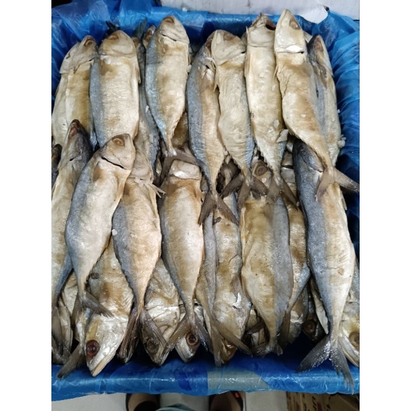 IKAN BUDU ORIGINAL KELANTAN IKAN JERUK IKAN KEMBUNG | Shopee Malaysia