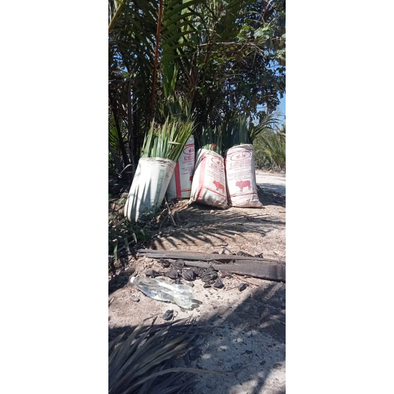 Buah Rantai Keping 0.1g 999 | Shopee Malaysia