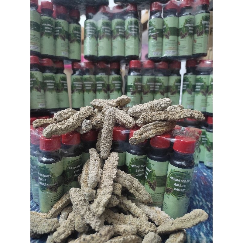 PATI BIDARA GAMAT DAN IBU GAMAT | Shopee Malaysia