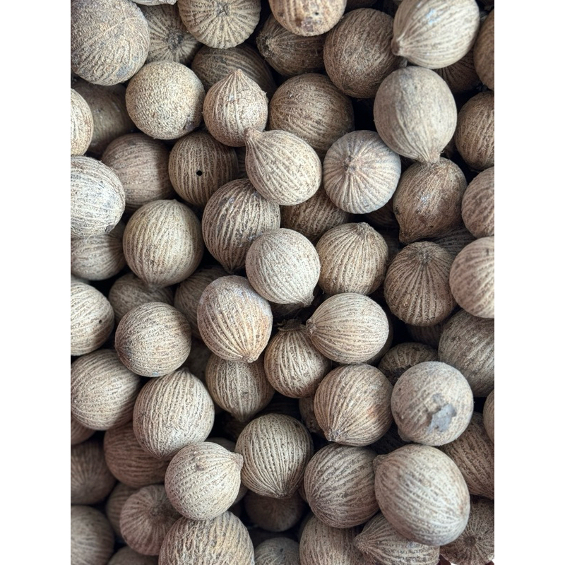 Buah kulim 1kg rm6.88 segar | Shopee Malaysia