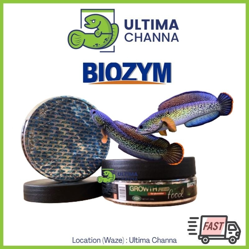 [NEW] Biozym Channa Color-Enhancing & Growth Fish Food 雷龙专用成长增色饲料 60g ...