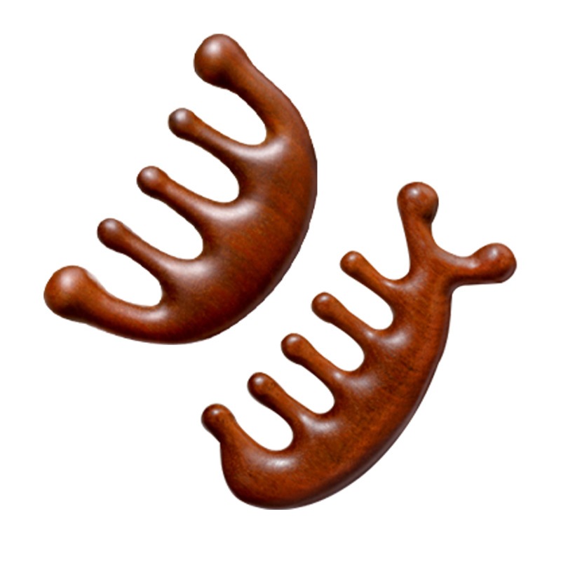 【𝗠'𝗦𝗜𝗔 𝗦𝗛𝗜𝗣 𝗢𝗨𝗧 𝟮𝟰𝗛𝗥𝗦】The Beauty Street Plastic Massage Comb Head ...