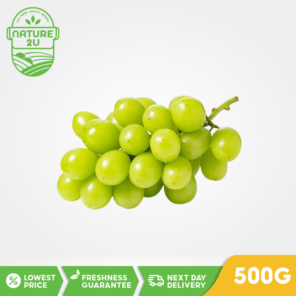 Nature2U Fresh Fruit - Grape Shine Muscat / Anggur Shine Muscat ...