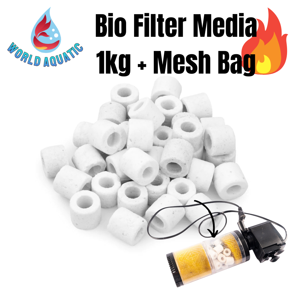 FREE MESH BAG Ceramic Ring Bio Ring Filter Media with Media Bag ...