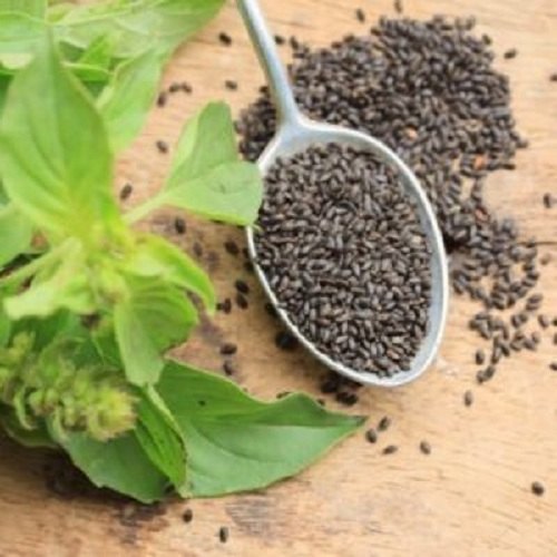 flake/seed/powder Italian Basil herba selasih (Ocimum basilicum) lampes ...