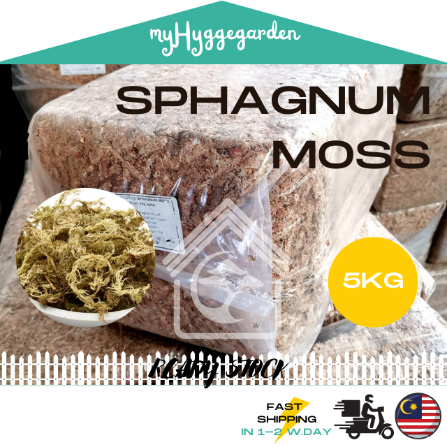 [5kg] High Quality Sphagnum Moss Orchid Bonsai Terrariums Carnivorous ...