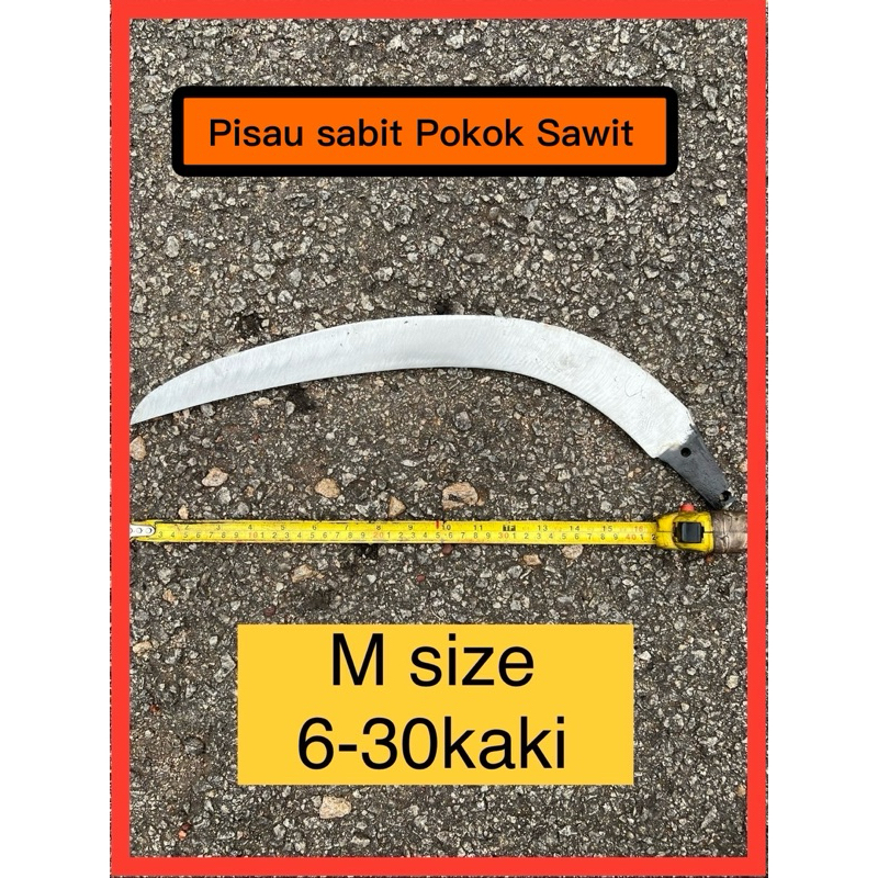 cali py1 skru sabit sahaje M size 6-30kaki kelapa sawit sabit sickle ...