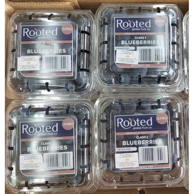 Blueberry, Fresh SA/AUS Jumbo Blueberries 125g±/200g± | Shopee Malaysia