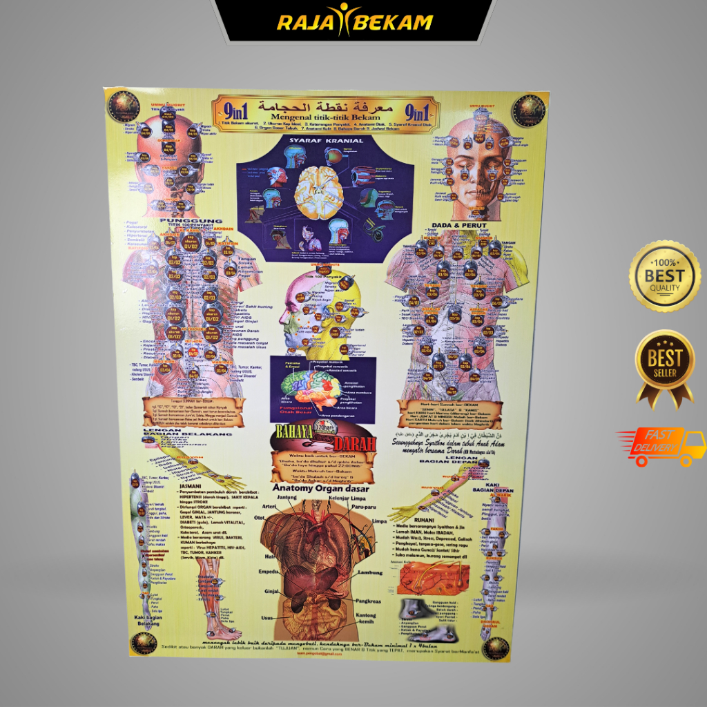 🔥 Poster Titik Bekam 9 in 1 / Poster Panduan Bekam / Peta Titik Bekam ...